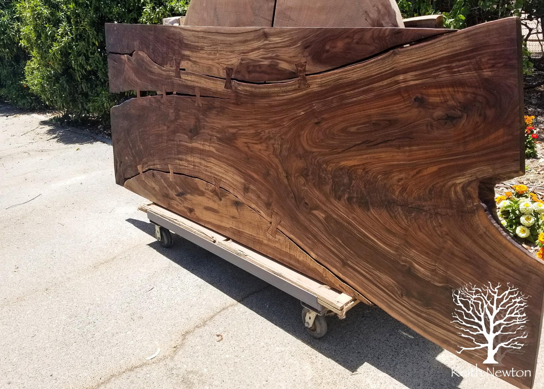 Black Walnut Table Top - Keith Newton