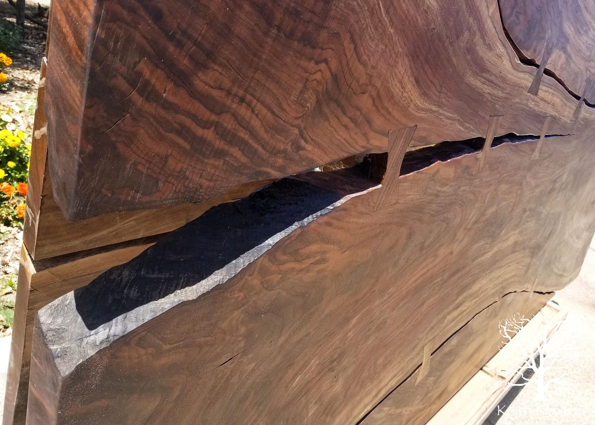 Black Walnut Table Top - Keith Newton